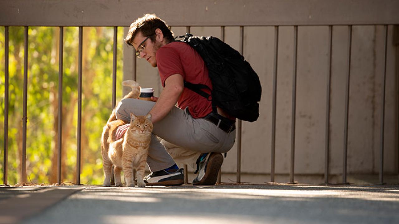 Animals on Campus | UC Davis