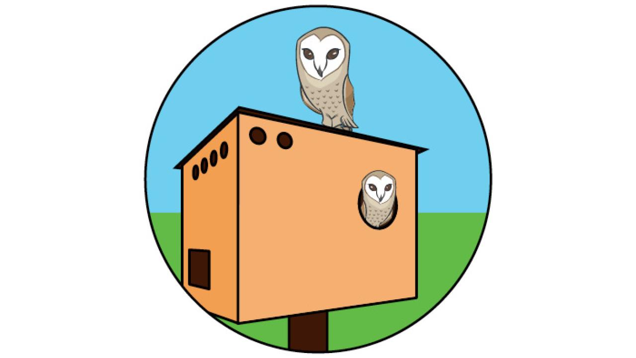 Build an Owl Box | UC Davis