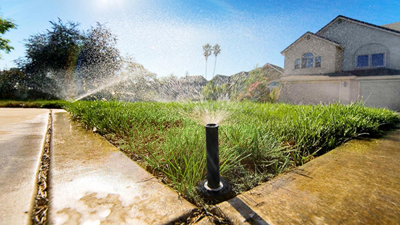 6 Tips for Saving Water | UC Davis