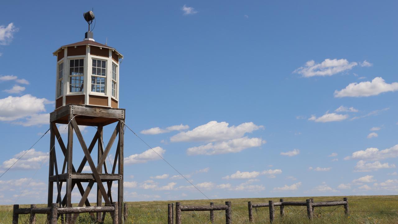 How is Japanese American History Being Preserved? | UC Davis