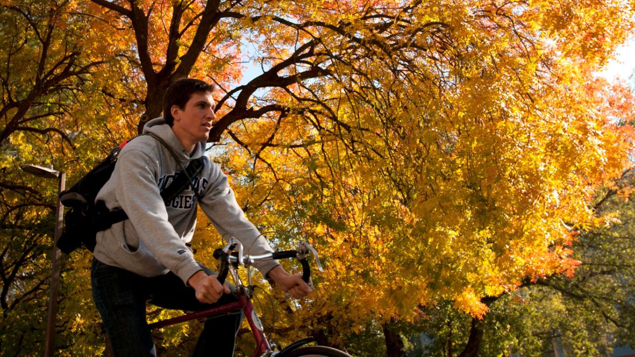 Admissions | UC Davis