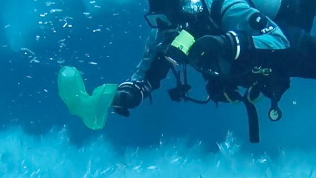 Confronting Climate Anxiety | UC Davis