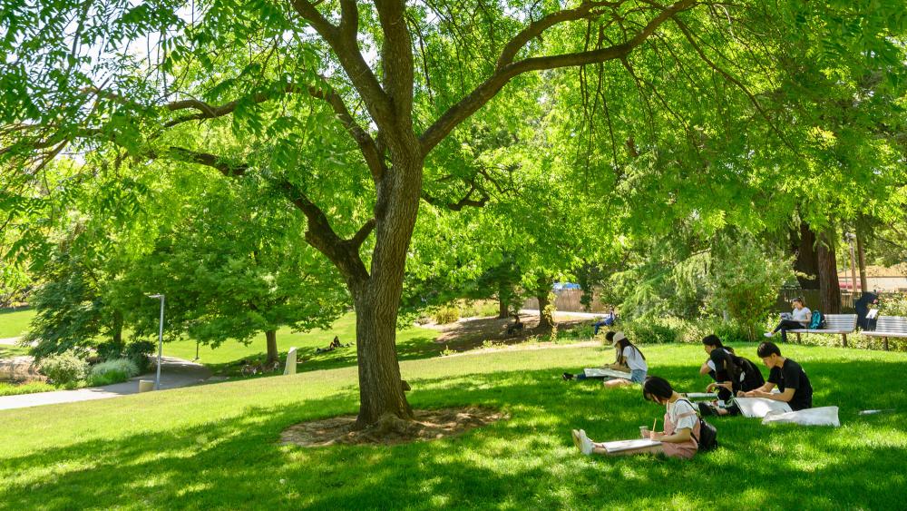 Undergraduate Admissions | UC Davis
