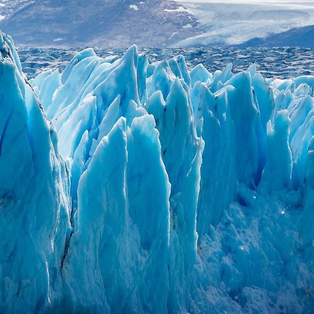 Environmental discoveries